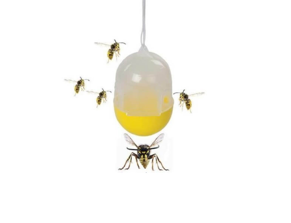 Cutt's Beetle Blaster Hive Beetle Trap - BeeKeeping Equipments supplies